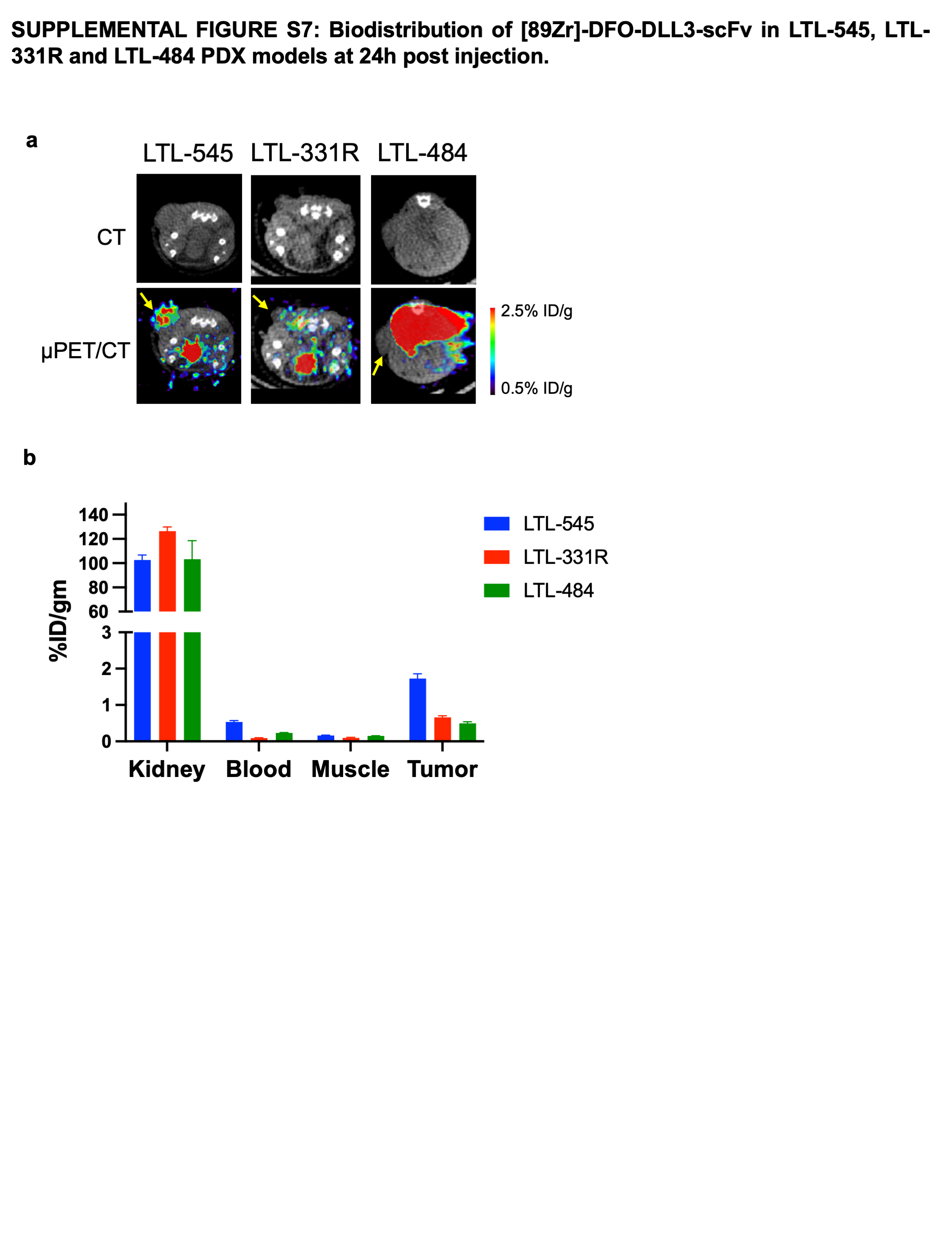 Immunotherapeutic Targeting and PET Imaging of DLL3 in Small-Cell ...