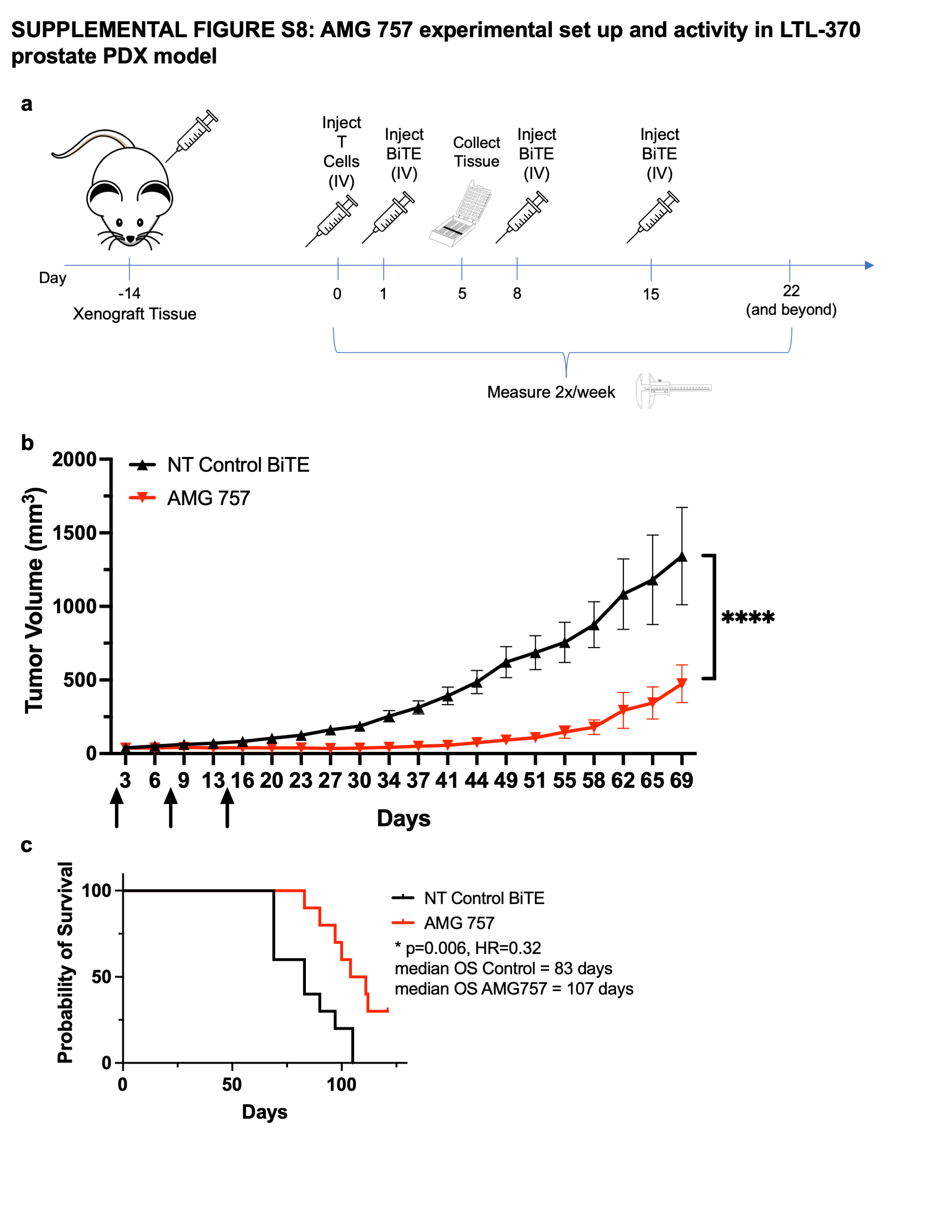 Immunotherapeutic Targeting and PET Imaging of DLL3 in Small-Cell ...