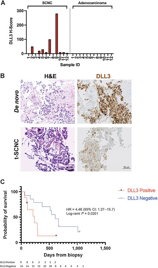 Immunotherapeutic Targeting and PET Imaging of DLL3 in Small-Cell ...