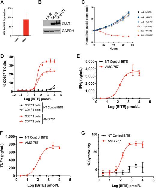 Immunotherapeutic Targeting and PET Imaging of DLL3 in Small-Cell ...
