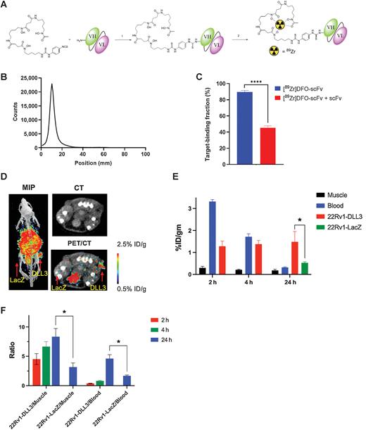 Immunotherapeutic Targeting and PET Imaging of DLL3 in Small-Cell ...
