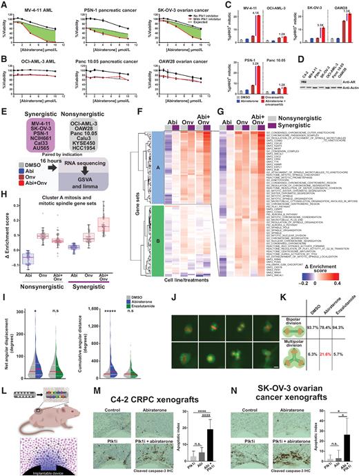 Plk1 Inhibitors and Abiraterone Synergistically Disrupt Mitosis and ...
