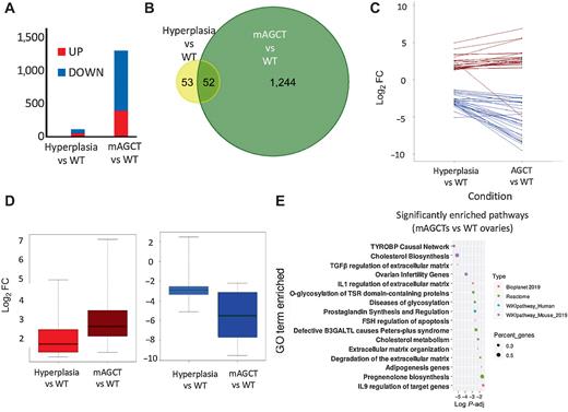 The Oncogenic FOXL2 C134W Mutation Is a Key Driver of Granulosa Cell ...
