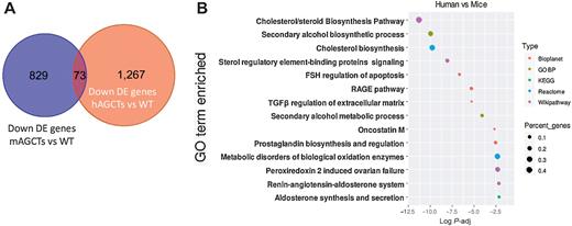 The Oncogenic FOXL2 C134W Mutation Is a Key Driver of Granulosa Cell ...