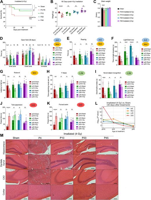 Radiotherapy-Induced Neurocognitive Impairment Is Driven by Heightened ...