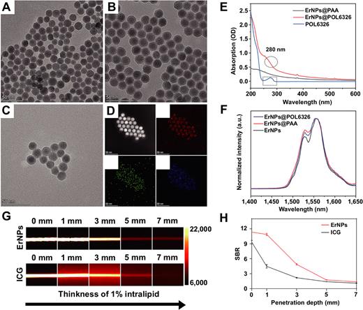 Development of a Rare Earth Nanoprobe Enables In Vivo Real-Time ...
