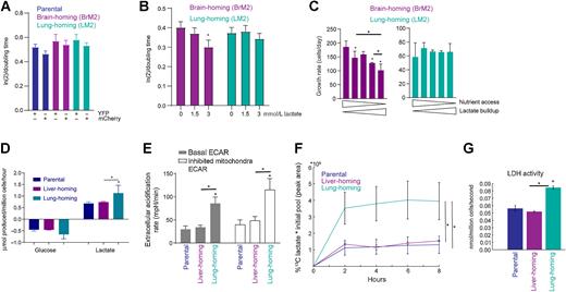 The Ratio of Key Metabolic Transcripts Is a Predictive Biomarker of ...