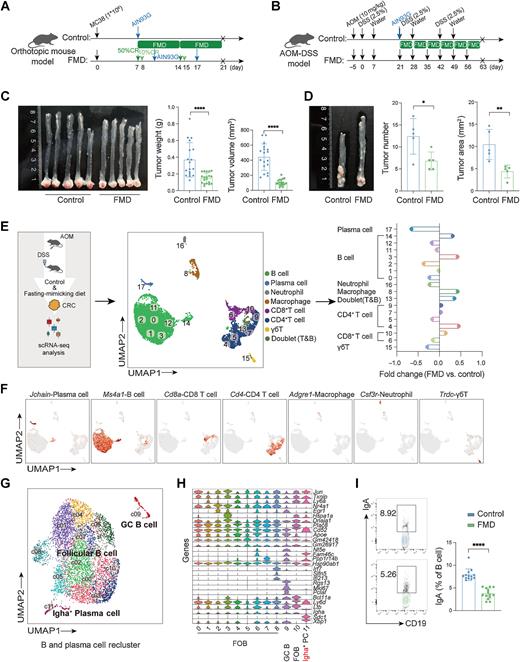 Fasting-Mimicking Diet Drives Antitumor Immunity against Colorectal ...