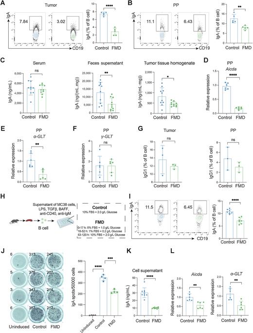 Fasting-Mimicking Diet Drives Antitumor Immunity against Colorectal ...