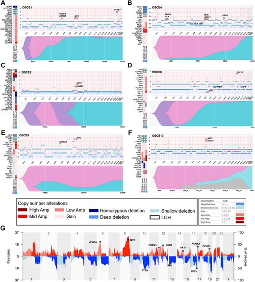 Subclonal Somatic Copy-Number Alterations Emerge and Dominate in ...
