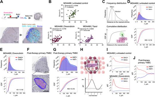 Stroma-Mediated Breast Cancer Cell Proliferation Indirectly Drives ...