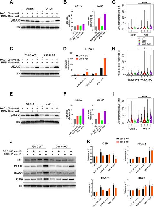 SETD2 Deficiency Confers Sensitivity to Dual Inhibition of DNA ...