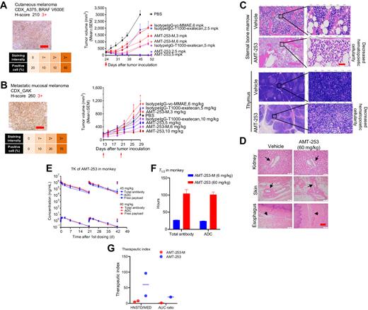 A Cell Surface-Binding Antibody Atlas Nominates a MUC18-Directed ...