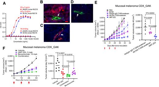 A Cell Surface-Binding Antibody Atlas Nominates a MUC18-Directed ...
