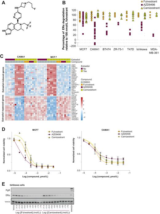 The Next-Generation Oral Selective Estrogen Receptor Degrader ...