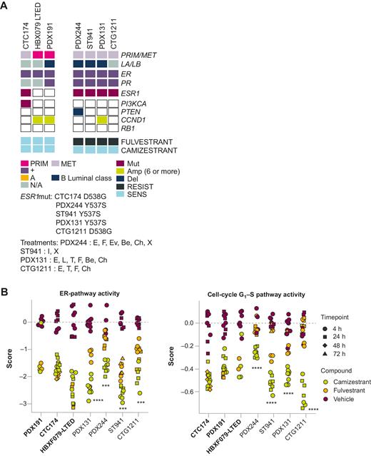 The Next-Generation Oral Selective Estrogen Receptor Degrader ...
