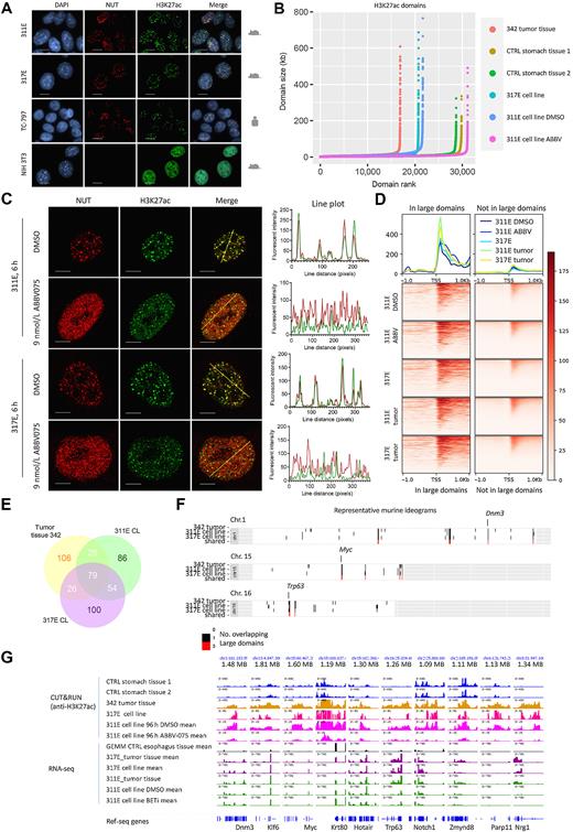 The BRD4–NUT Fusion Alone Drives Malignant Transformation of NUT ...