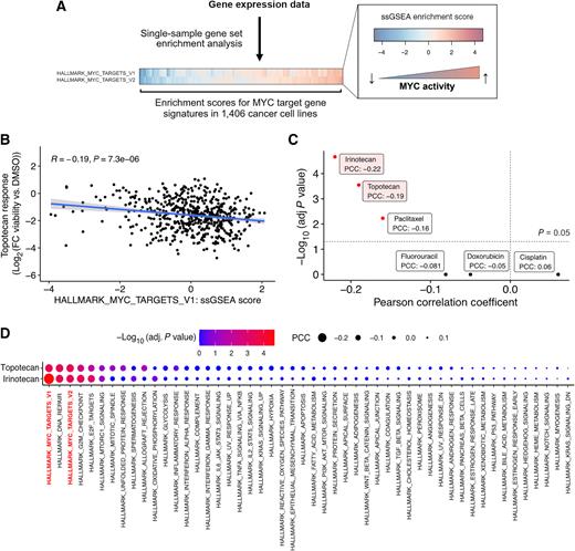 Topoisomerase 1 Inhibition in MYC-Driven Cancer Promotes Aberrant R ...