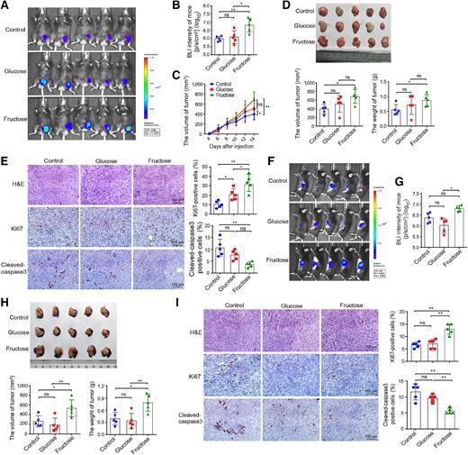 Fructose-Induced mTORC1 Activation Promotes Pancreatic Cancer ...