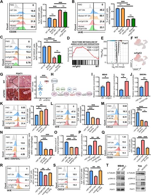 FGFR3 Alterations in Bladder Cancer Stimulate Serine Synthesis to Induce Immune-Inert ...