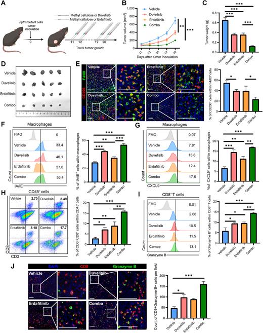 FGFR3 Alterations in Bladder Cancer Stimulate Serine Synthesis to ...