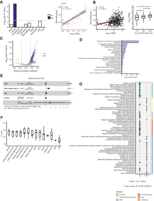 Single-Cell Analysis in Lung Adenocarcinoma Implicates RNA Editing in ...