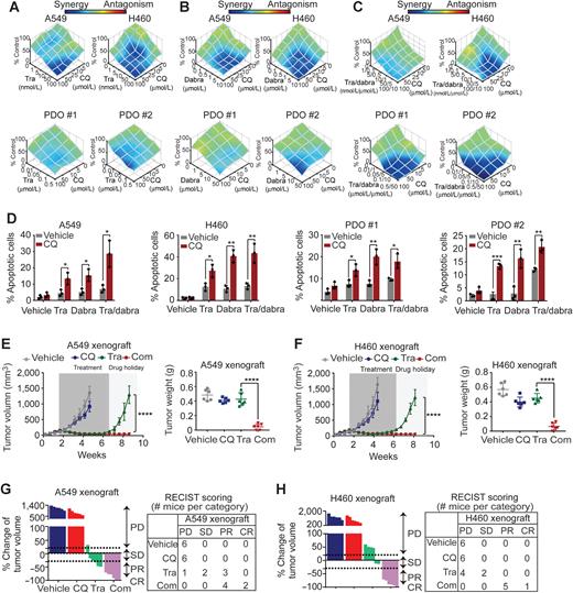 PINK1-Mediated Mitophagy Promotes Oxidative Phosphorylation and Redox ...