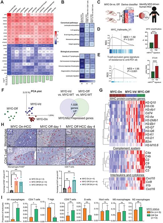 MYC Overexpression Drives Immune Evasion in Hepatocellular Carcinoma ...