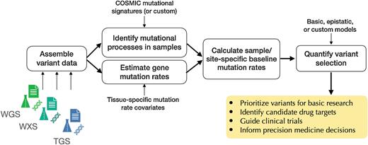 Estimation of Neutral Mutation Rates and Quantification of Somatic ...