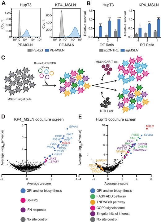 Systematic Interrogation of Tumor Cell Resistance to Chimeric Antigen Receptor T-cell Therapy in ...