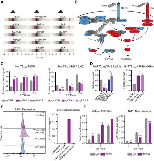 Systematic Interrogation of Tumor Cell Resistance to Chimeric Antigen ...