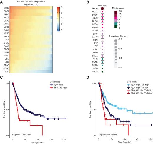 The Cytidine Deaminase APOBEC3G Contributes to Cancer Mutagenesis and ...