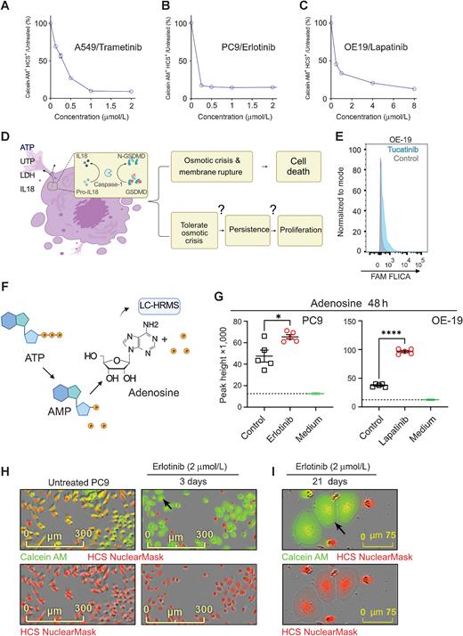 Elevated Methionine Flux Drives Pyroptosis Evasion in Persister Cancer ...