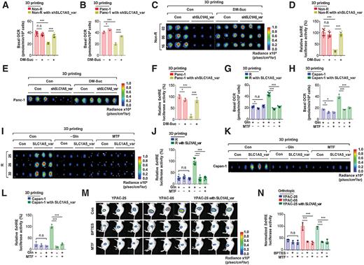 Enhanced Glutaminolysis Drives Hypoxia-Induced Chemoresistance in ...