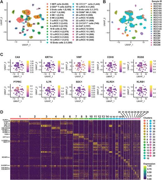 Integrative Single-Cell Analysis Reveals Transcriptional and Epigenetic ...