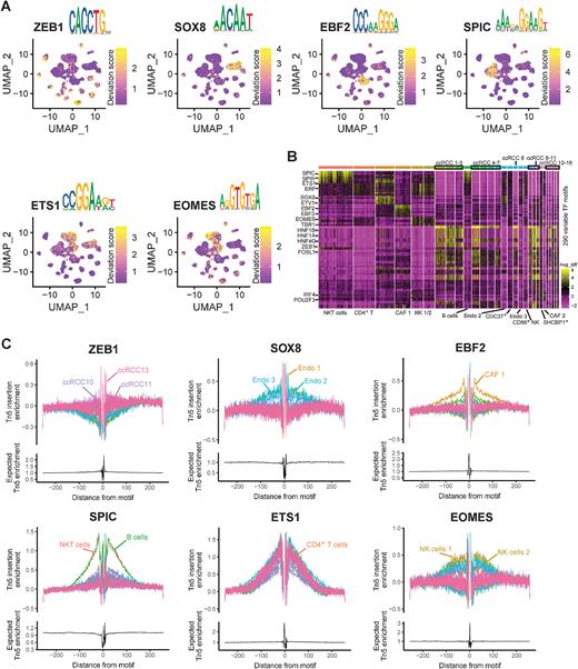Integrative Single-Cell Analysis Reveals Transcriptional and Epigenetic ...