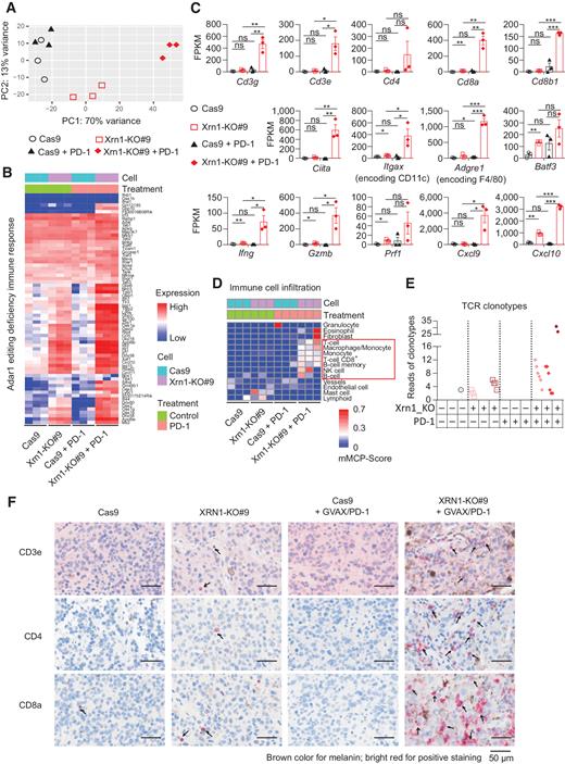 Targeting RNA Exonuclease XRN1 Potentiates Efficacy of Cancer ...