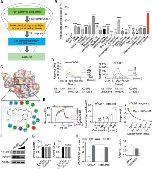 The RNA m6A Reader YTHDF1 Is Required for Acute Myeloid Leukemia ...