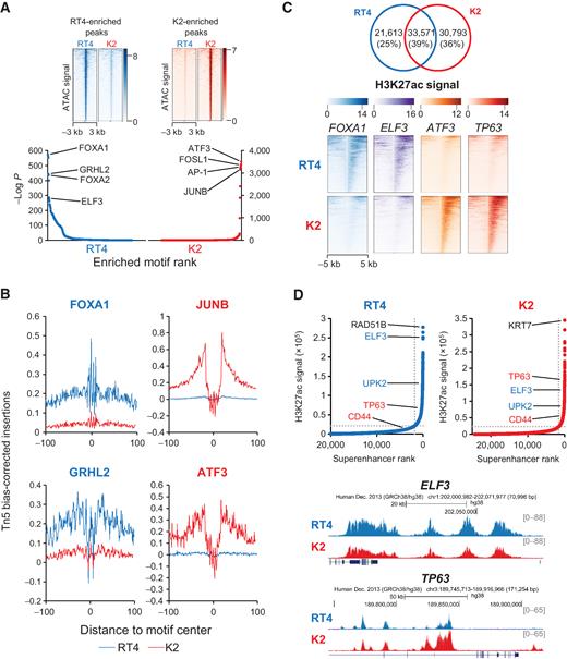 KDM6A Loss Triggers an Epigenetic Switch That Disrupts Urothelial ...
