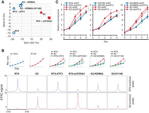 KDM6A Loss Triggers an Epigenetic Switch That Disrupts Urothelial ...