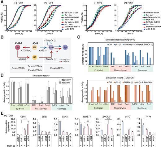 A Cell-Fate Reprogramming Strategy Reverses Epithelial-to-Mesenchymal ...