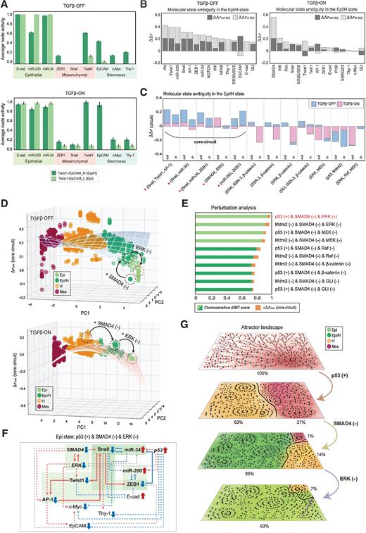 A Cell-Fate Reprogramming Strategy Reverses Epithelial-to-Mesenchymal ...