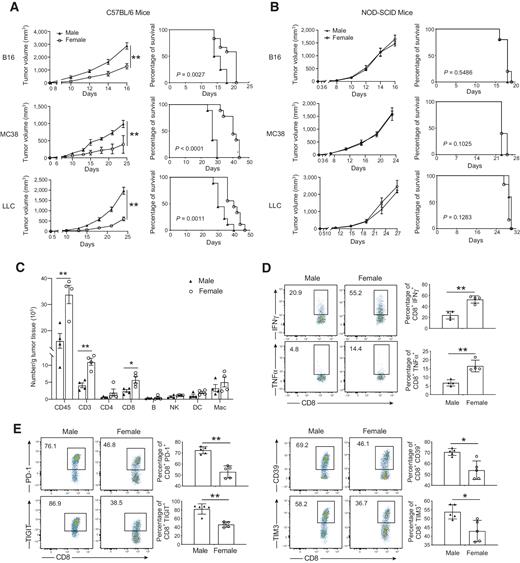 Androgen Signaling Contributes To Sex Differences In Cancer By