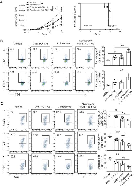 Androgen Signaling Contributes To Sex Differences In Cancer By