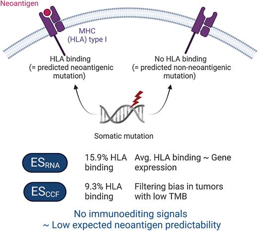 Quantification of Neoantigen-Mediated Immunoediting in Cancer Evolution ...