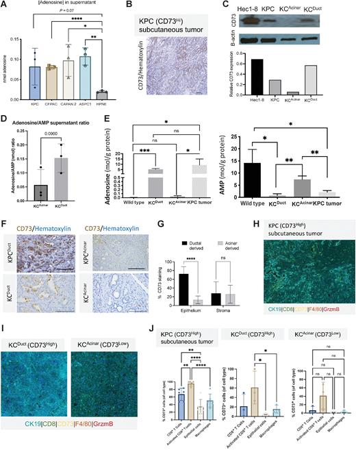 CD73-Dependent Adenosine Signaling through Adora2b Drives ...