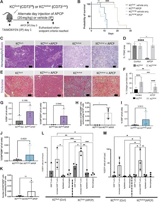 CD73-Dependent Adenosine Signaling through Adora2b Drives ...