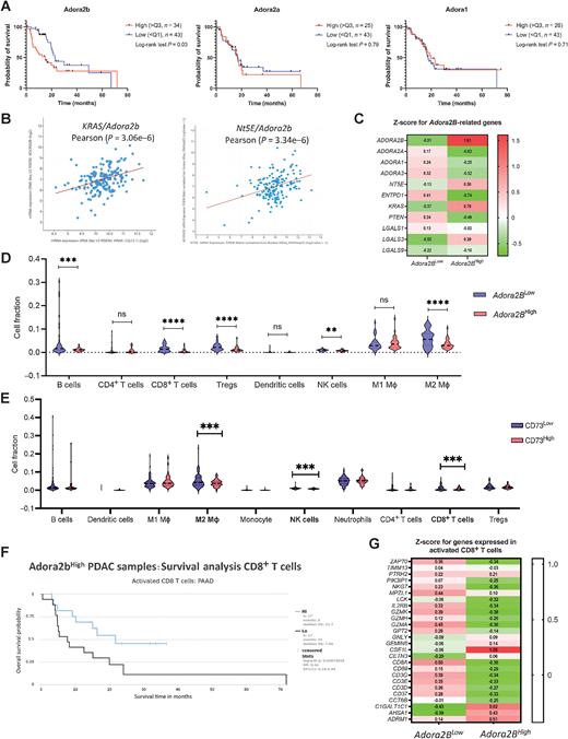 CD73-Dependent Adenosine Signaling through Adora2b Drives ...