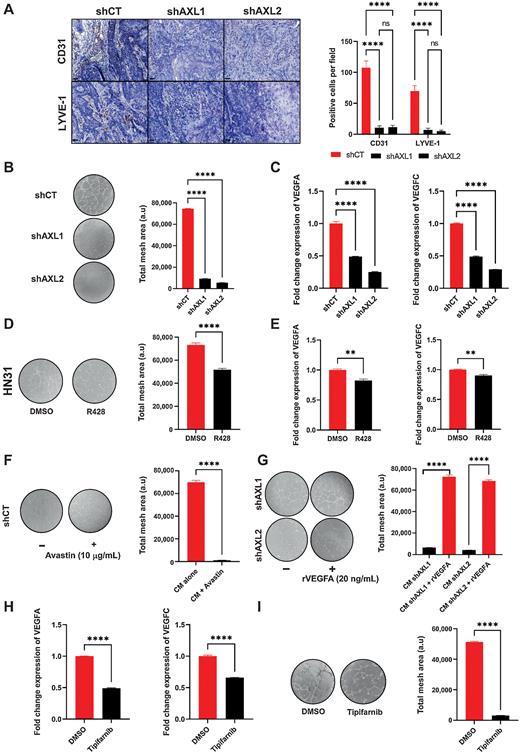 Mutated HRAS Activates YAP1–AXL Signaling to Drive Metastasis of Head ...