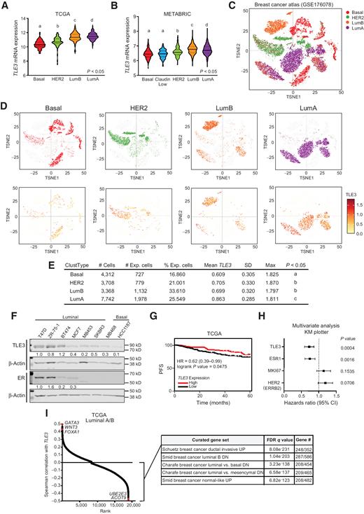 TLE3 Sustains Luminal Breast Cancer Lineage Fidelity to Suppress ...